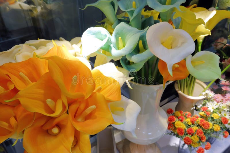 Colorful Calla Lily, Adobe Rgb Stock Image - Image of elegance ...