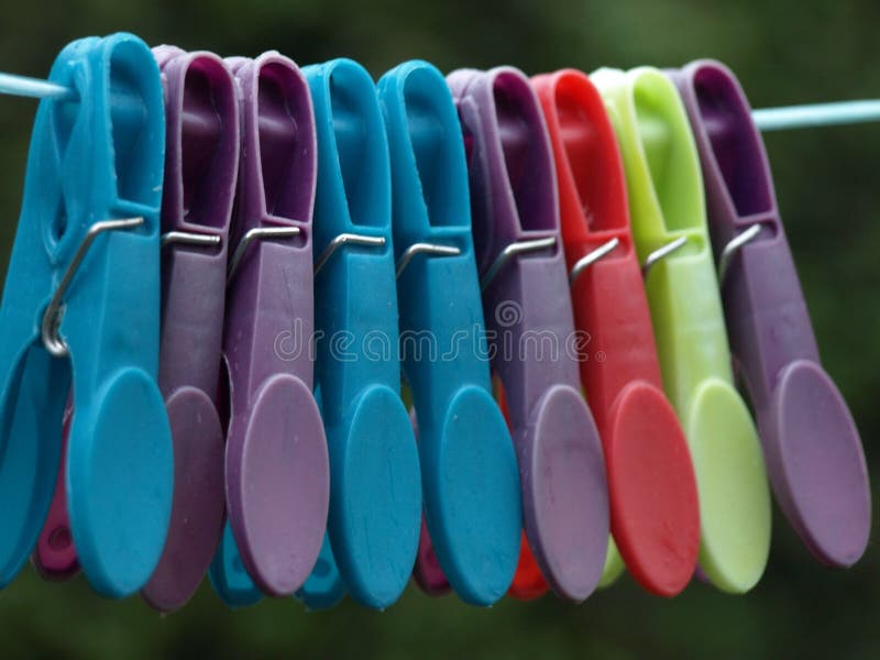 Laundry pegs stock photo. Image of laundry, pegs, line - 107704448