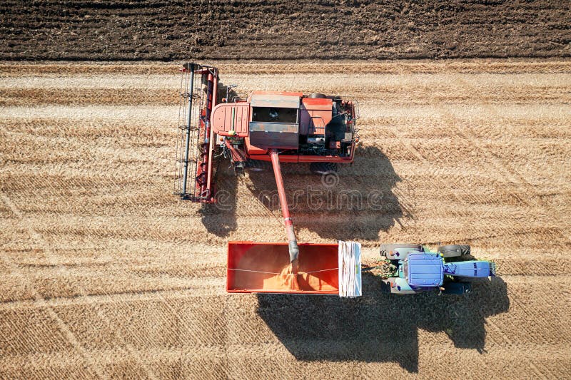 Colourful Combine Harvester Working a Wheat Field with a Tractor and ...