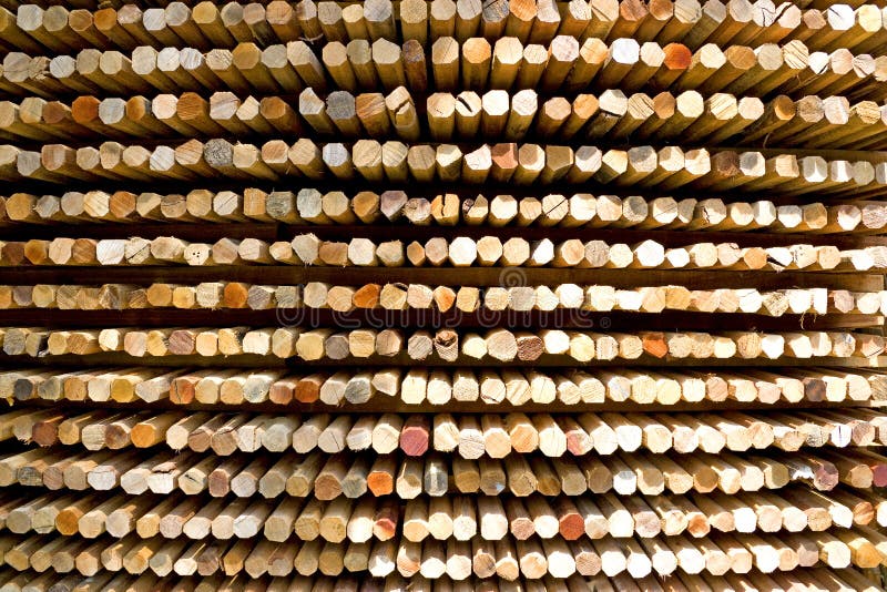 Colourful Cut Sticks stock photo. Image of malaysia, specie - 5216800