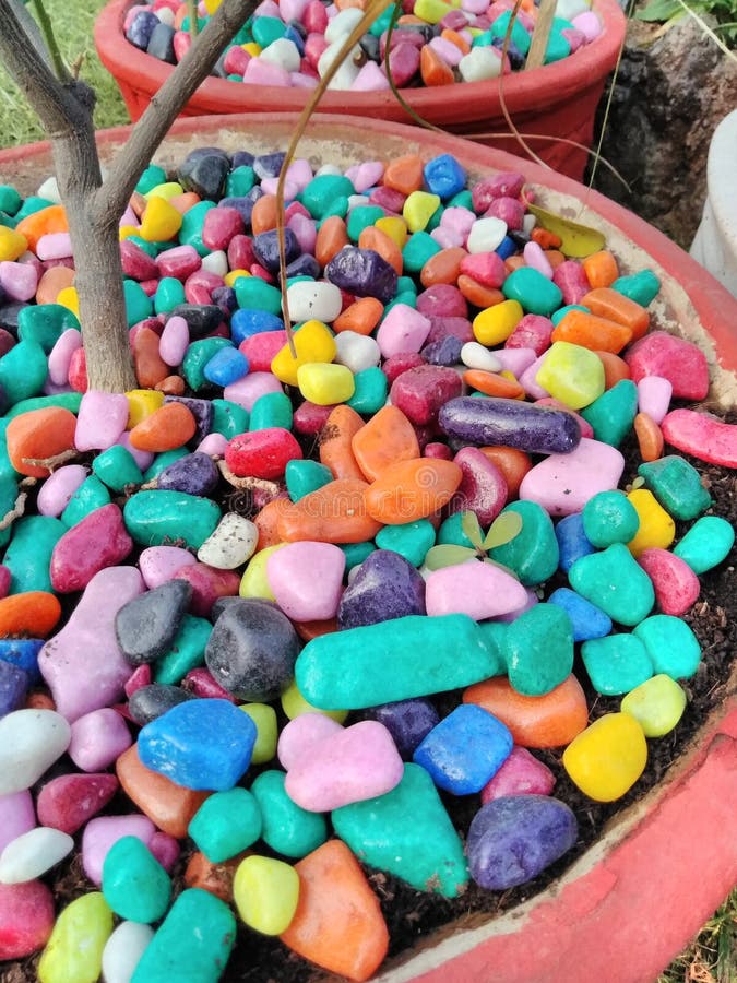 Colourful Decorative Pebbles Rock Stones. Stock Image - Image of rock ...