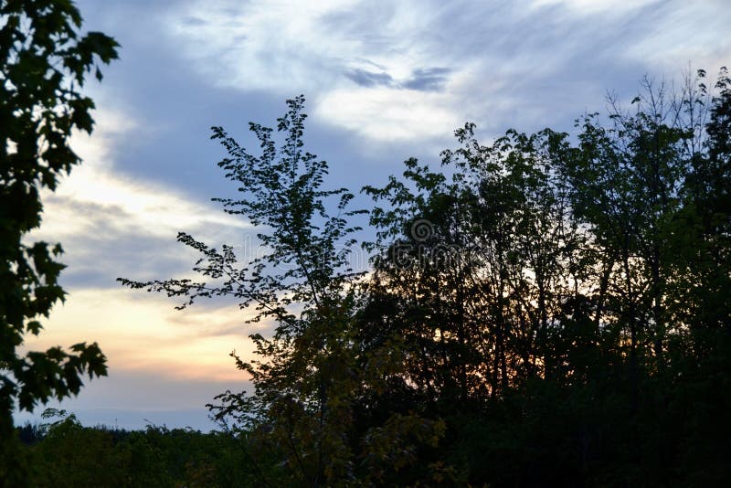 Colourful Evening Sky with Wispy Clouds and Silhoutted Trees Stock Image - Image of natural ...