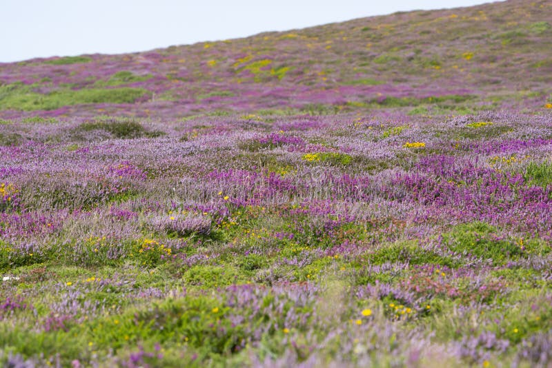 Stack Anglesea Stock Photos - Free & Royalty-Free Stock Photos from ...