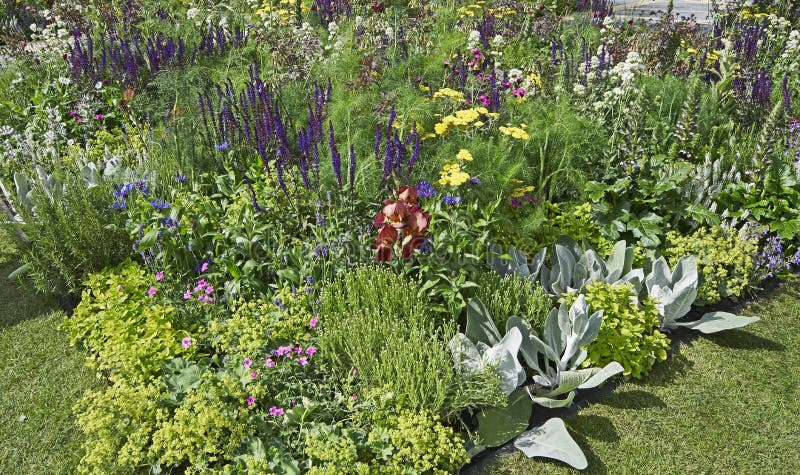 Colourful Flower Border with Mixed Planting Stock Image - Image of 6702 ...