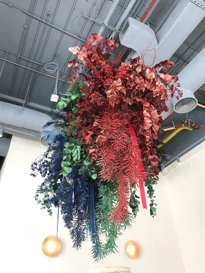 Colourful Flower Display Hanging from the Ceiling of a Restaurant Stock ...