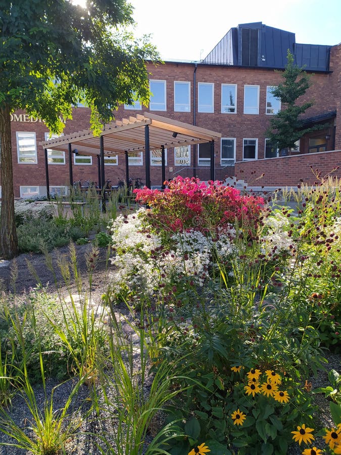 Flowers on Campus of Tsinghua University Stock Photo - Image of stones ...