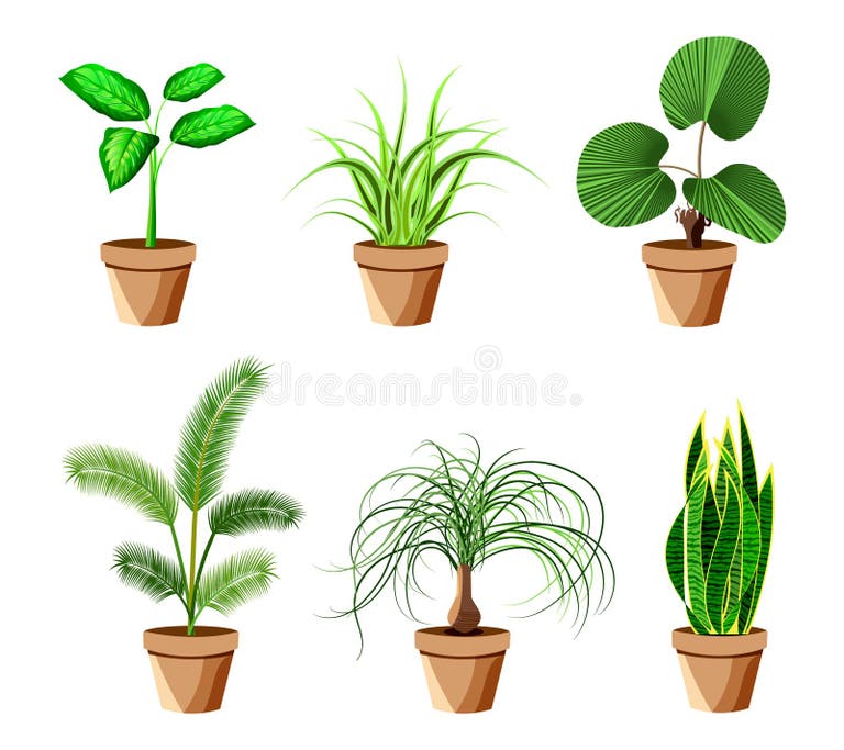 Colourful Flowers and Plants in Vases. Vector Illustration Stock Vector ... Colourful Flowers and Plants in Vases. Vector Illustration Stock Vector ...