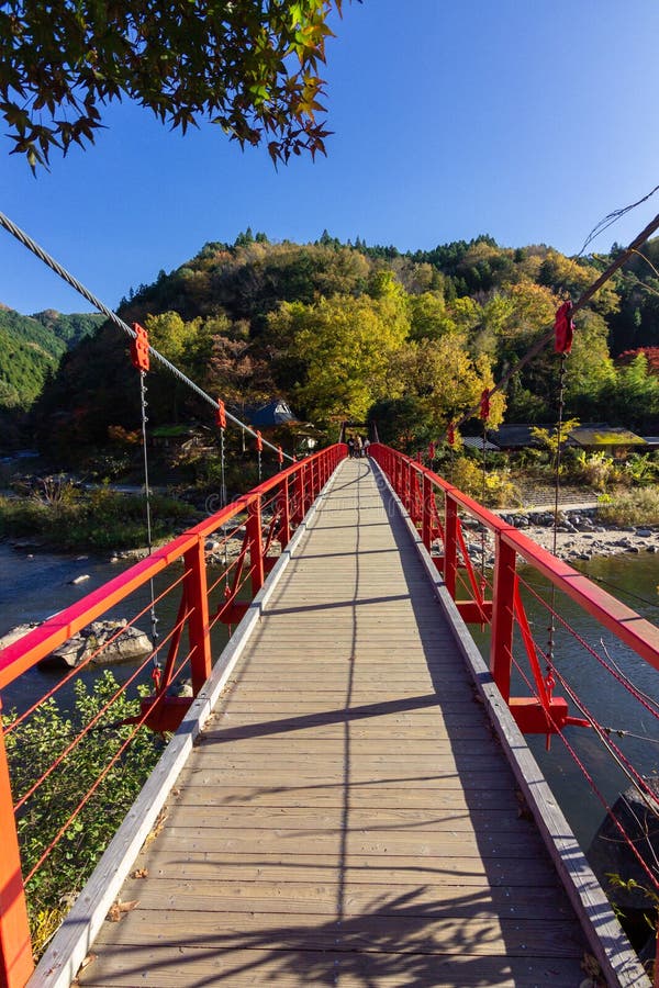 Colourful Forest of Korankei in Japan Editorial Photography - Image of ...