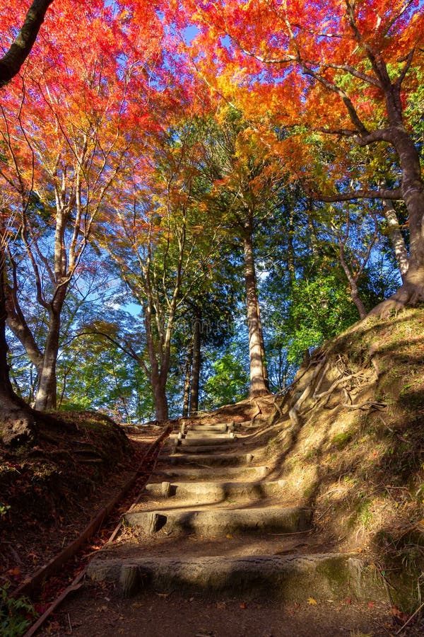 Colourful Forest of Korankei in Japan Stock Photo - Image of colorful ...