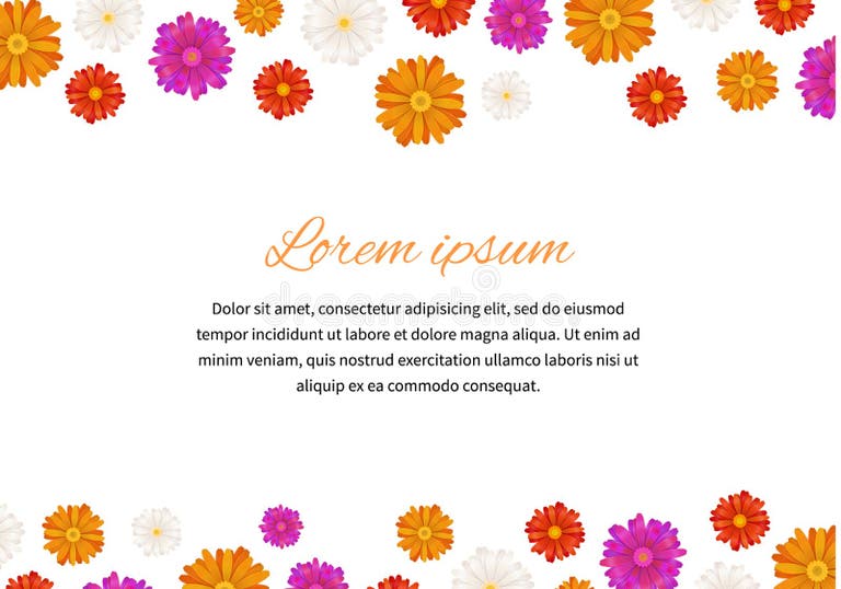 Colourful Gerbera Flowers on White with Text, A4 Size Illustration ...