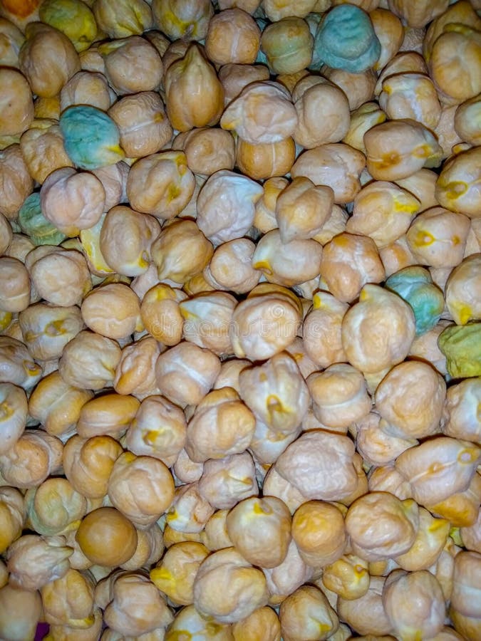 Colourful gram seeds stock image. Image of seeds, gram - 177306833