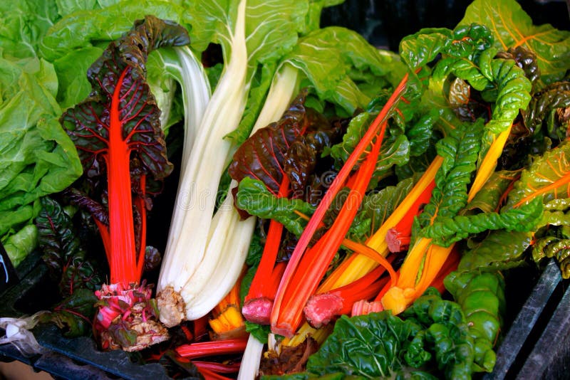 Colourful greens stock image. Image of fresh, vegetables - 43010933