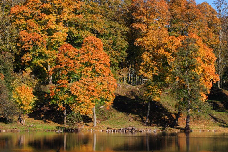 Colourful hill stock photo. Image of reflection, colorful - 1249246