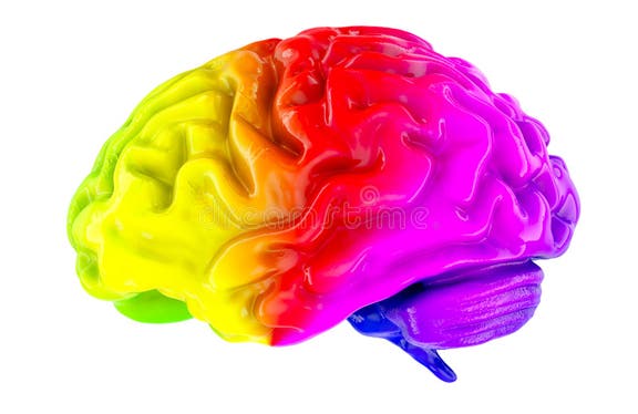 Colourful Human Brain, 3D Rendering Stock Illustration - Illustration ...