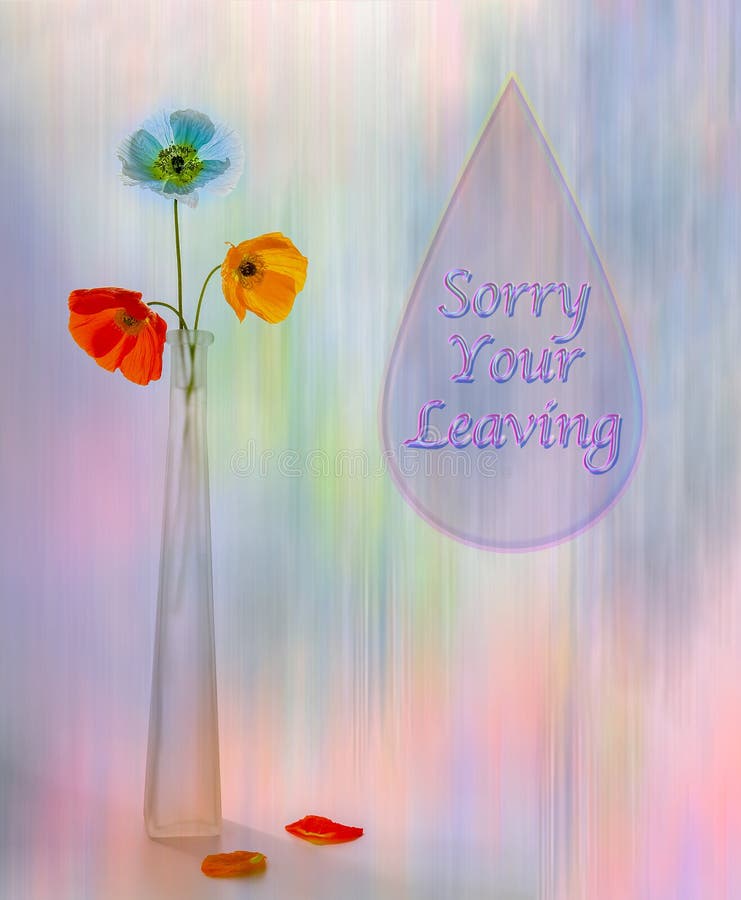 Colourful greetings cards stock illustration. Illustration of nature ...