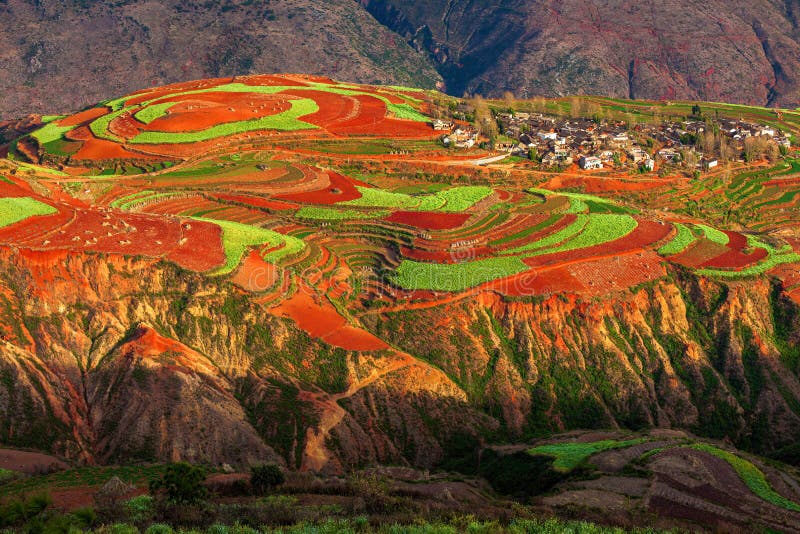 Colourful land stock image. Image of hill, meadow, soil - 238578469