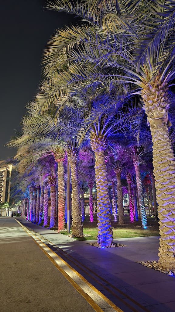 Colourful Lighting with Dates Tree Background Stock Image - Image of ...