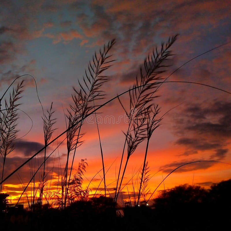 Lovely Suset Stock Photos - Free & Royalty-Free Stock Photos from ...