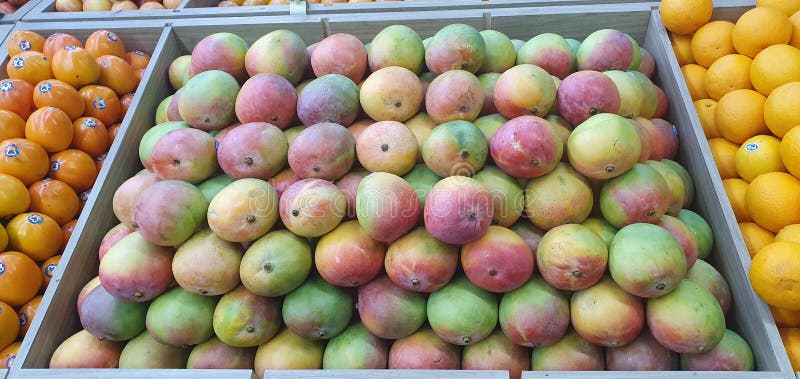 Colourful of Mango with Good Taste Editorial Stock Image - Image of ...