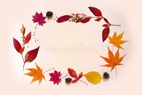 Colourful Maple Leaves Flat Lay with Rectangular Frame Stock Image ...