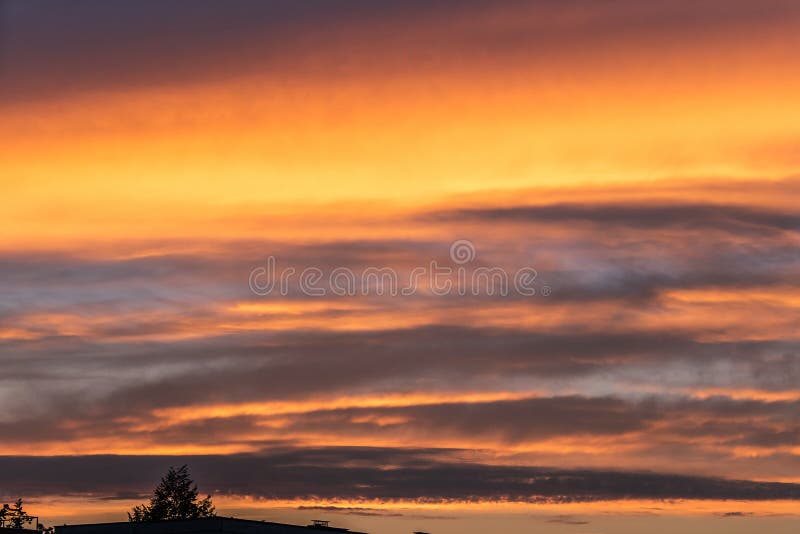 Colourful morning stock image. Image of outdoor, canon - 125945835