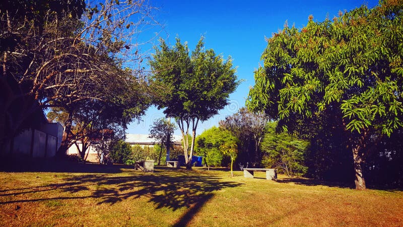 Colourful Park stock image. Image of trees, green, park - 98150041