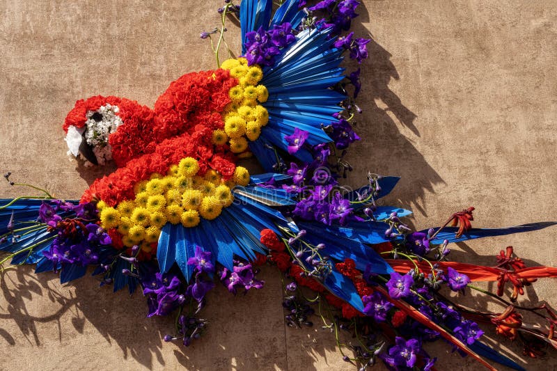 Colourful Parrot Bird Made of Spring Flowers Stock Image - Image of ...