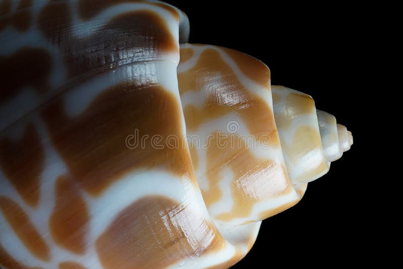 Colourful Patterned Hand Painted Glass Bottle. Stock Image - Image of ...