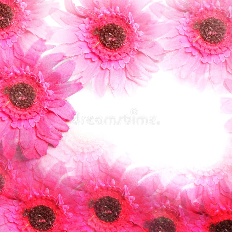 Colourful Pink Flower Border Stock Photo - Image of flowery, decorative ...