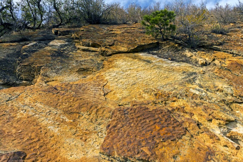 Colourful Rocky Ground stock image. Image of landscape - 180944989