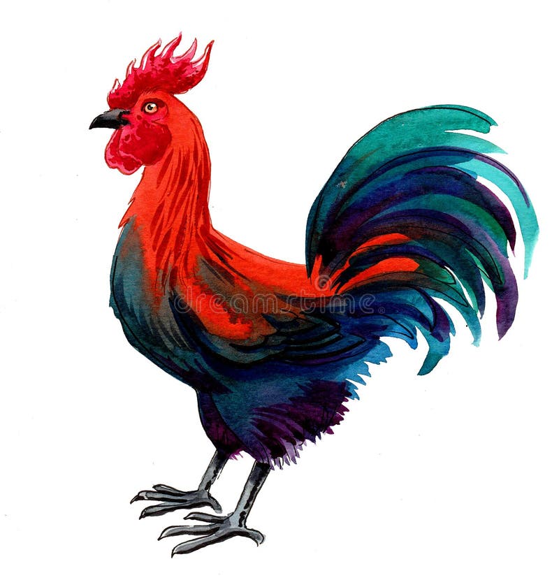 Colourful rooster. stock image. Image of artwork, poultry - 358796981