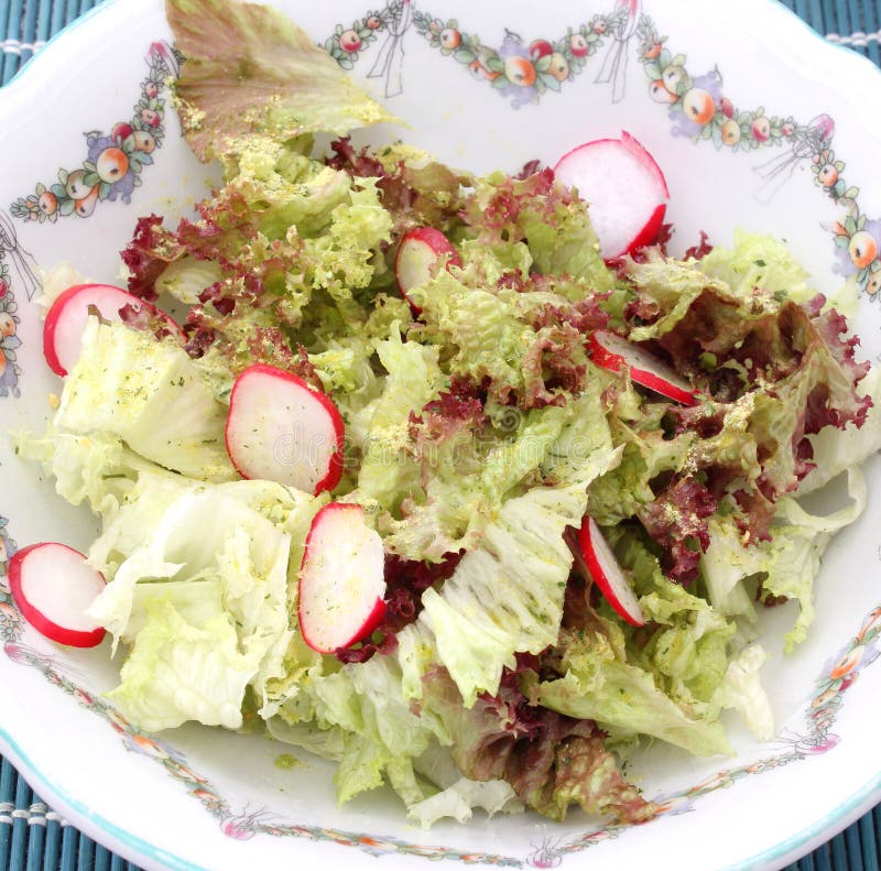 Colourful salad stock photo. Image of starter, food, vitamins - 32917784