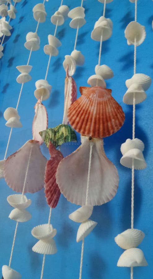 Colourful seashell mobile stock image. Image of shell - 55105303