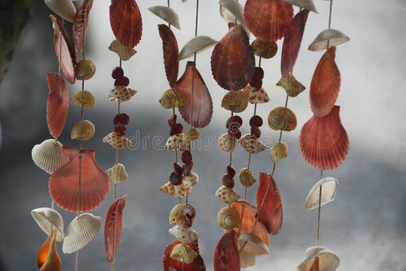 Colourful Shell and Seaside Background Stock Photo - Image of colorful ...