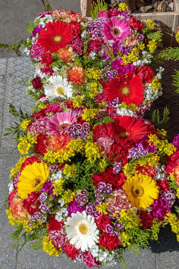 Colourful Spring Flowers Mix Stock Image - Image of natural, floral ...