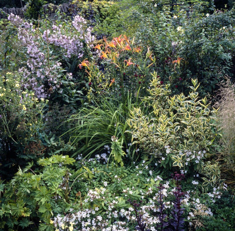 Colourful Summer Flowers Mix. Stock Image - Image of celebration, leaf ...
