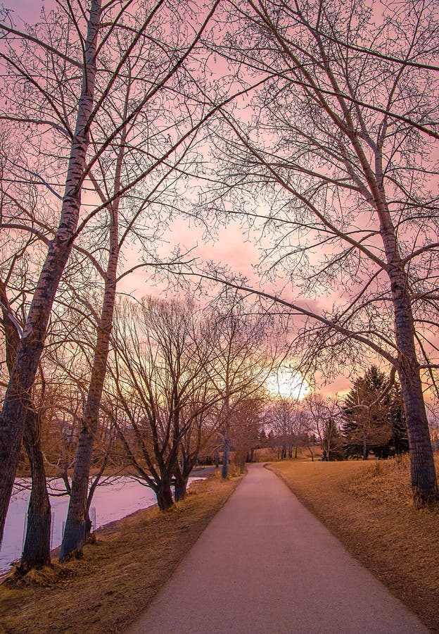 Sunrise Over a Spring Park Pathway Stock Image - Image of spring ...