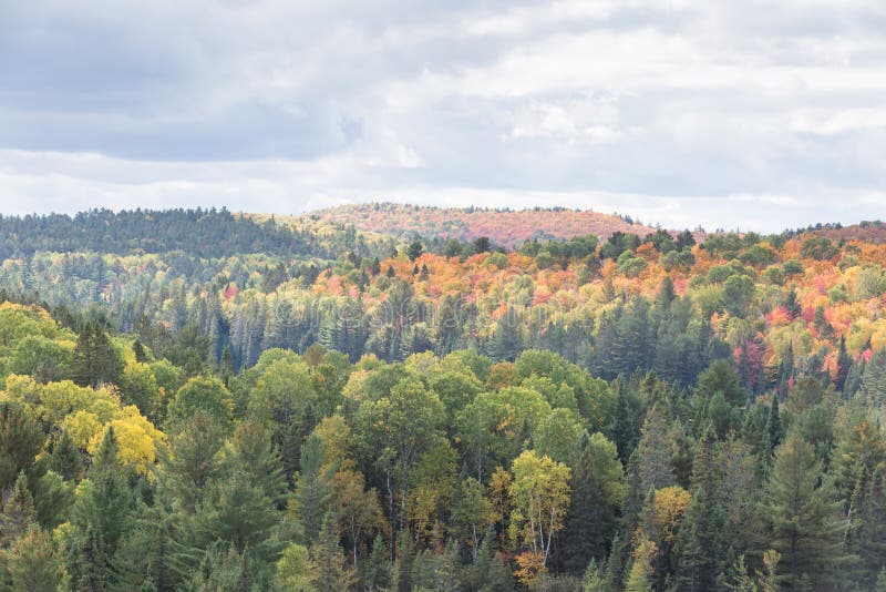 Colourful Trees in a Fall Setting Stock Photo - Image of calm, ontario ...