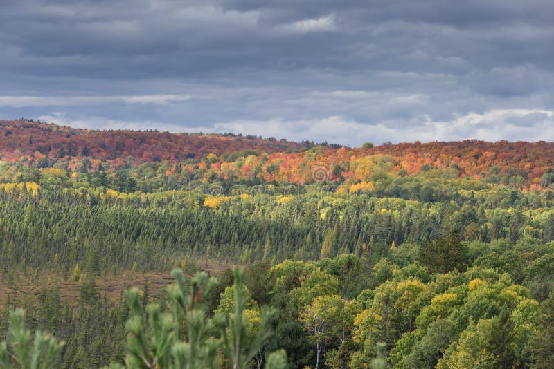 Colourful Trees in a Fall Setting Stock Image - Image of dock ...