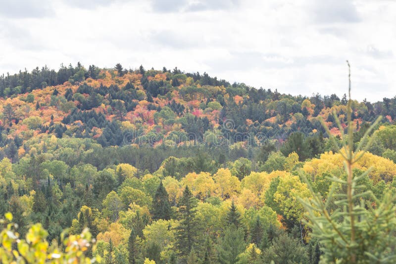 Colourful Trees in a Fall Setting Stock Photo - Image of muskoka ...