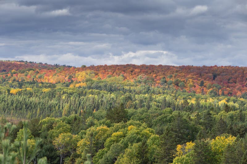 Colourful Trees in a Fall Setting Stock Image - Image of landscape ...