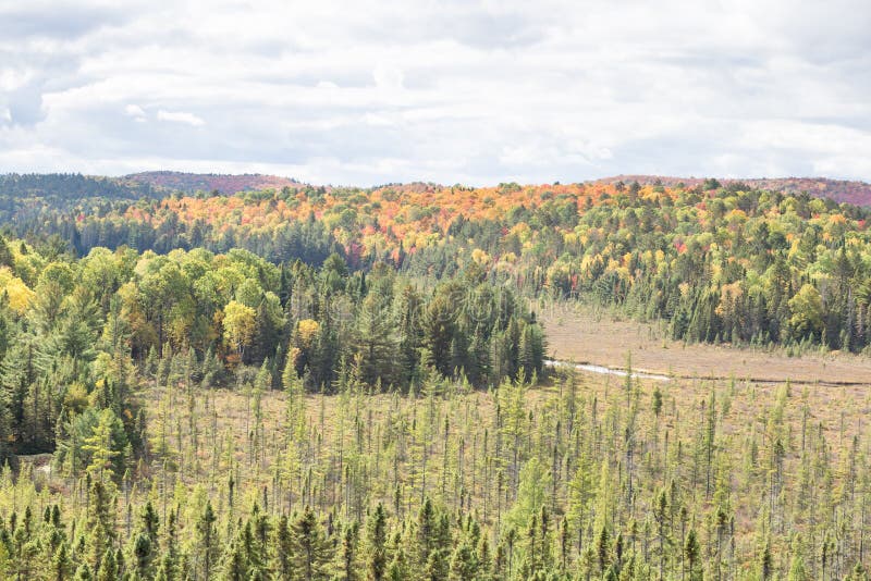 Colourful Trees in a Fall Setting Stock Image - Image of provincial ...