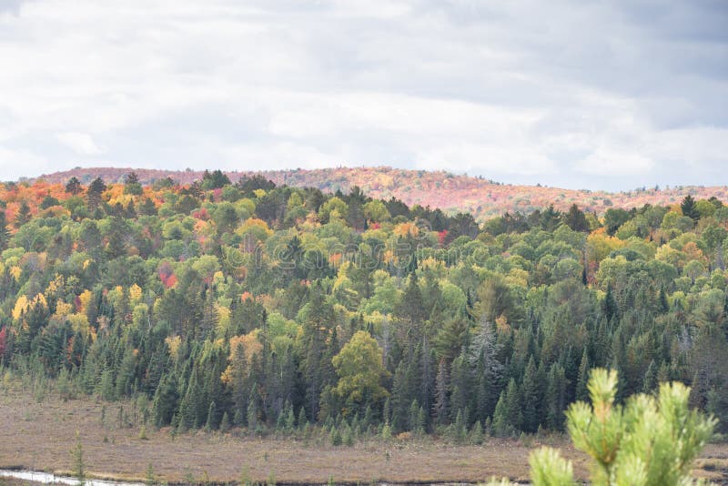 Colourful Trees in a Fall Setting Stock Image - Image of autumn ...