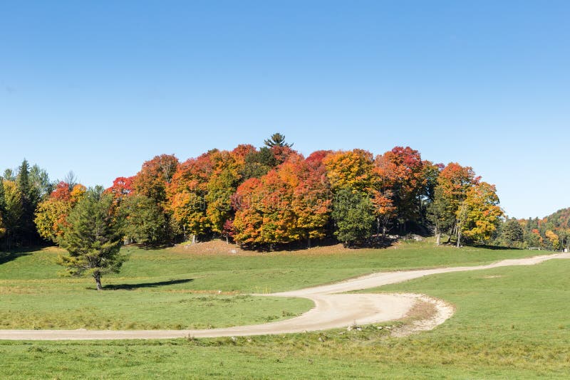 Colourful Trees in a Fall Setting Stock Image - Image of algonquin ...