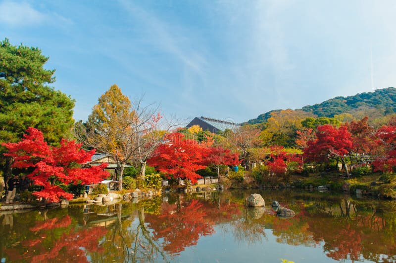 Colourful trees in Japan stock photo. Image of kiyomizu - 44307336