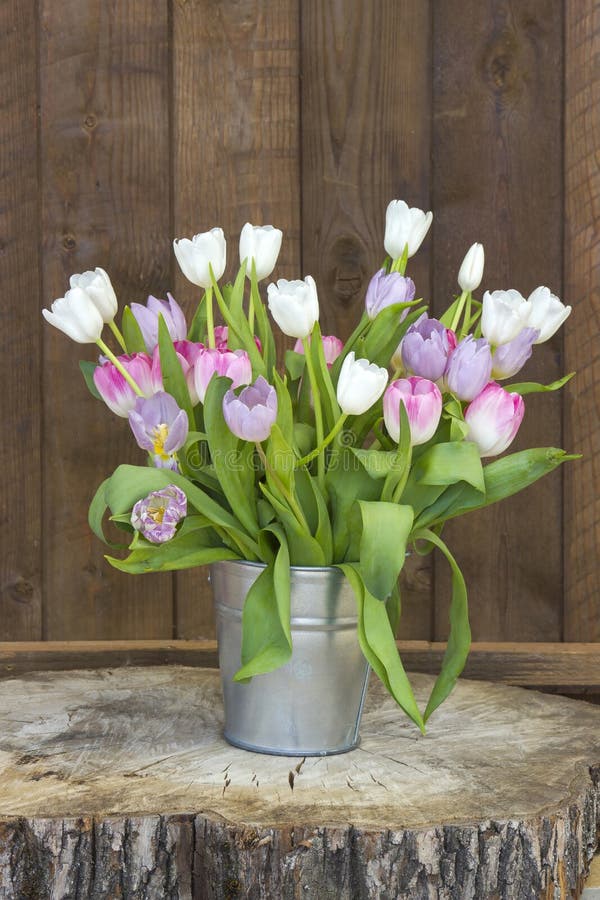 Colourful Tulips In A Bucket Stock Image - Image of arrangement, bucket ...