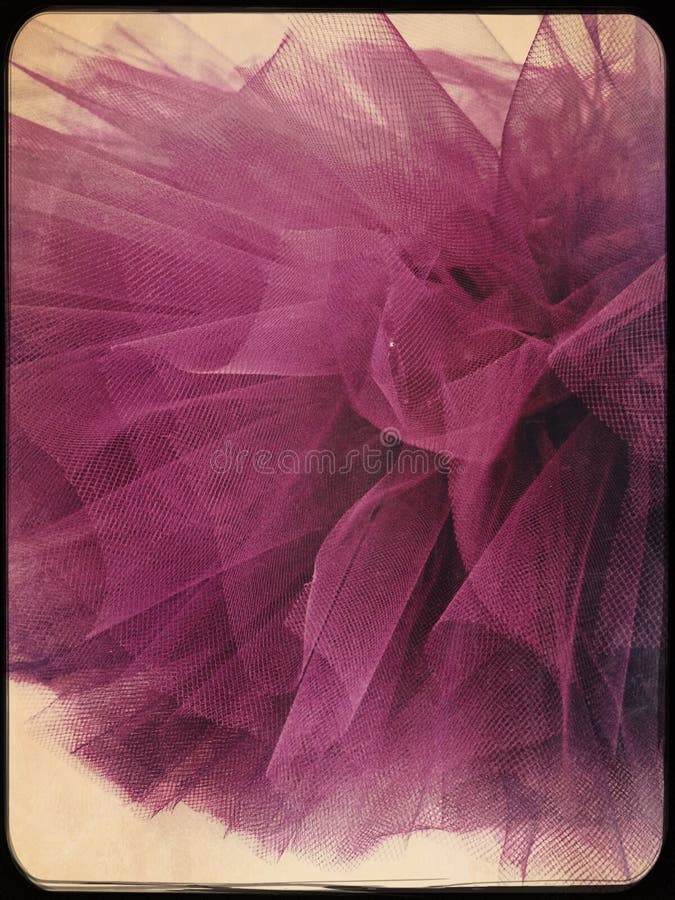 175 Tulle Skirts Photos - Free & Royalty-Free Stock Photos from Dreamstime