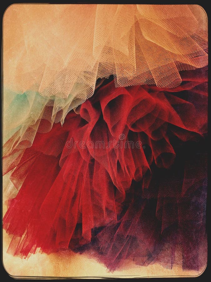 Colourful tutu skirts stock photo. Image of pink, colours - 85572626