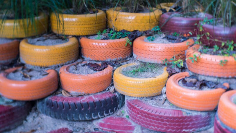The Colourful Used Tyre with Plant Stock Image - Image of colourful ...