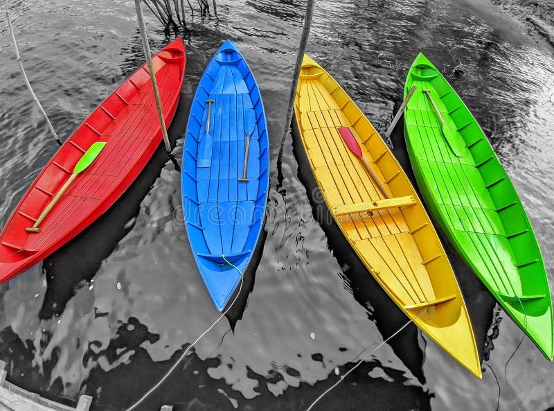 Colouring rowing boats stock photo. Image of paddle - 263568514